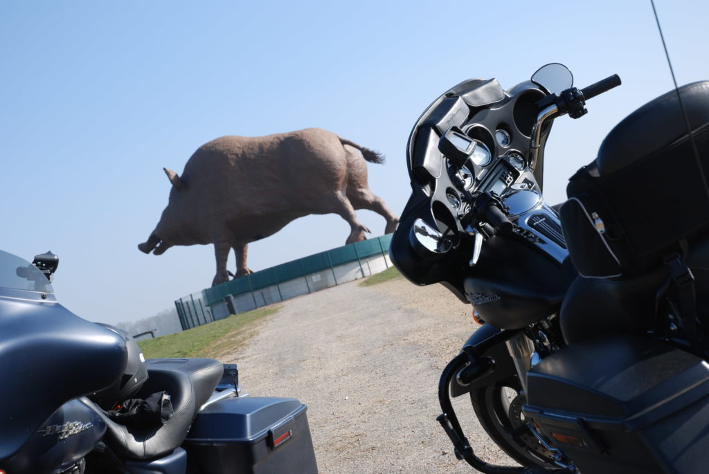 OCTOBER RIDE TO THE WILD HOG